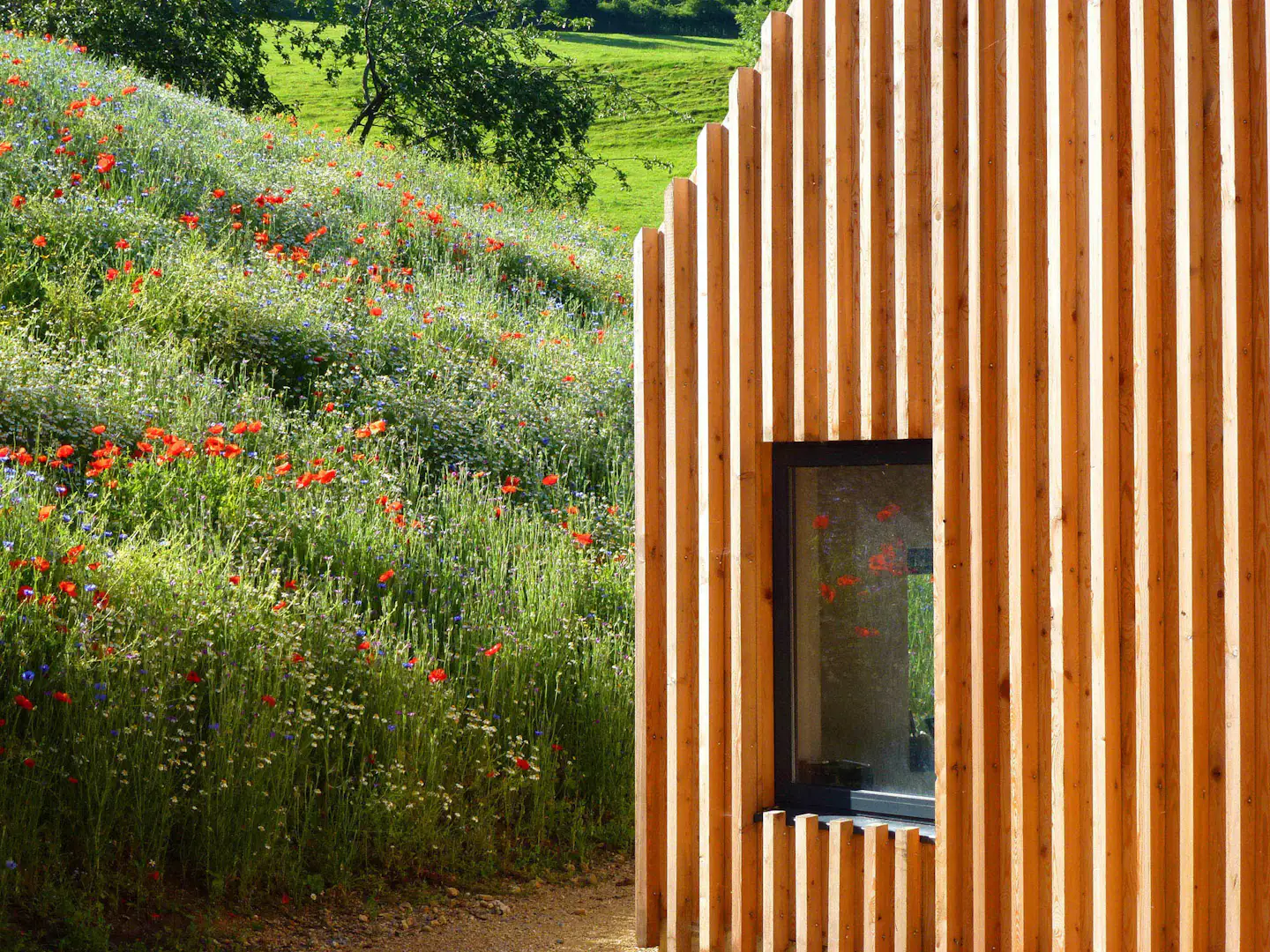 Photo 16 of 26 in 10 Buildings We Love by Piers Taylor - Dwell