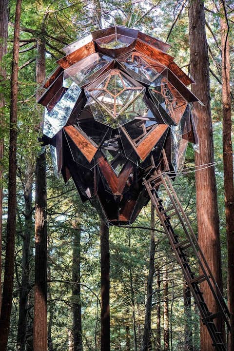 16 Unbelievable Tree Houses We're Pining Over - Dwell