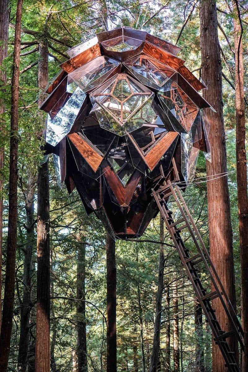 16 Unbelievable Tree Houses We're Pining Over - Dwell
