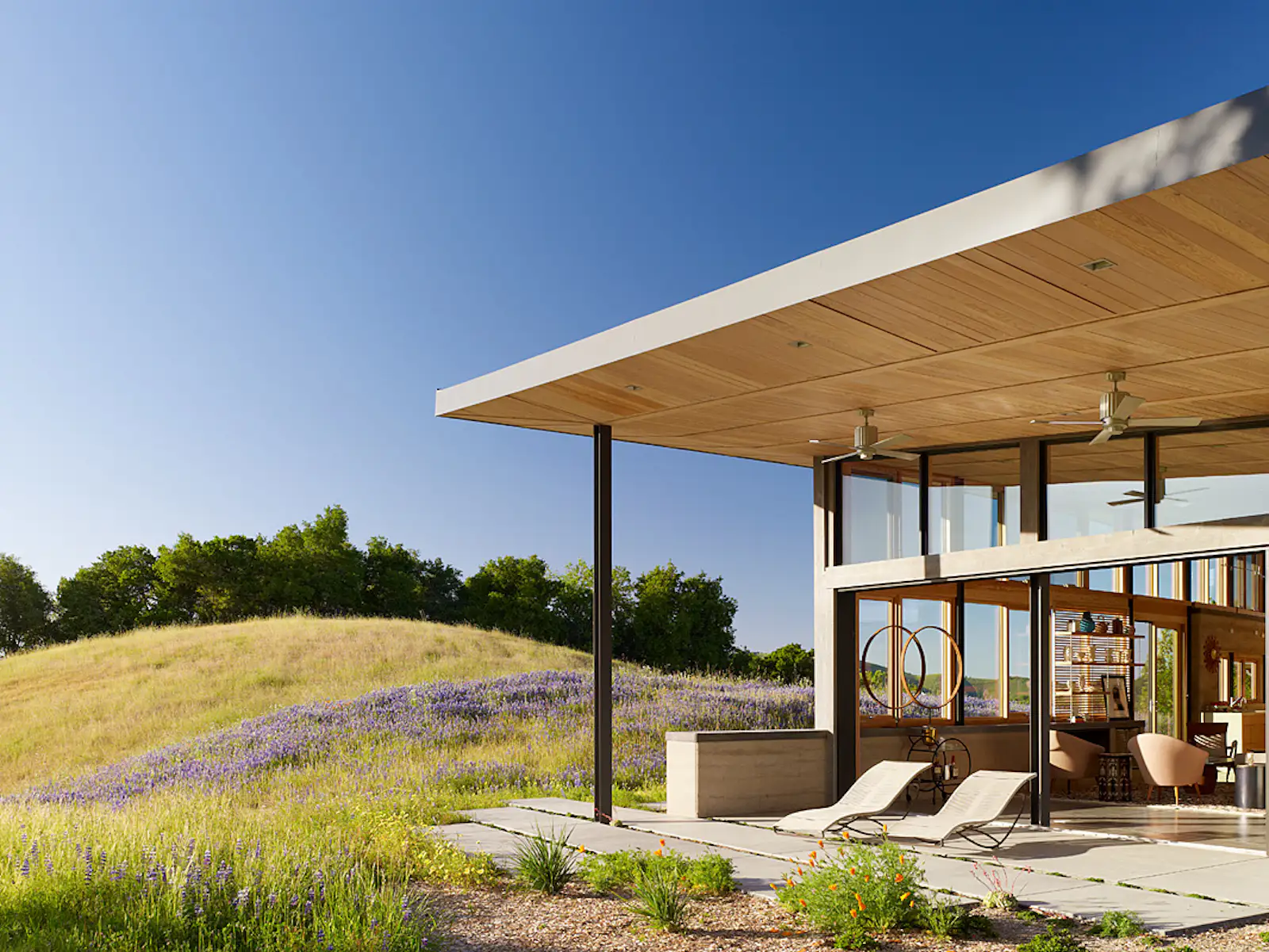 Photo 1 of 13 in Caterpillar House by Feldman Architecture - Dwell