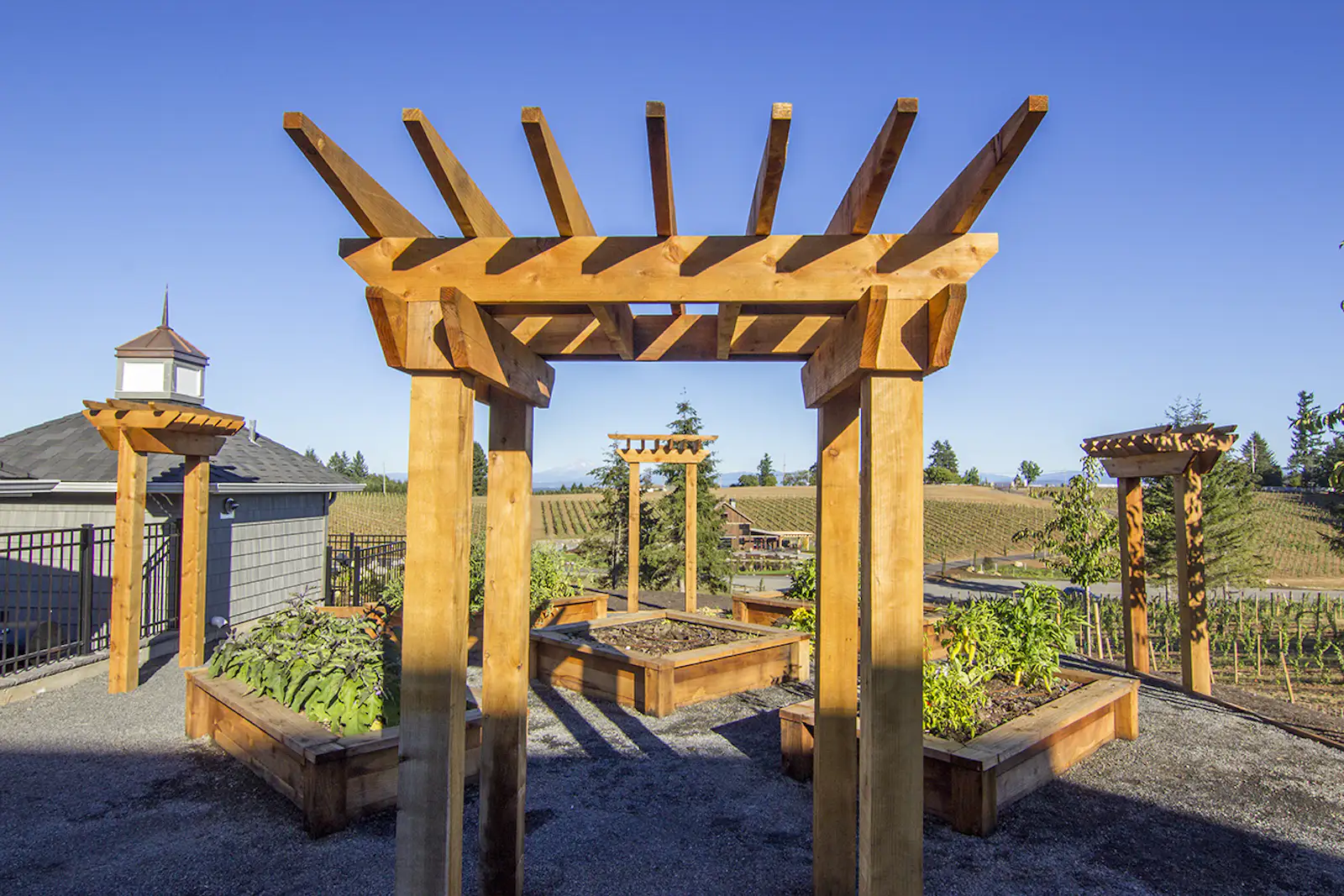 Sustainable Redwood Stars in an Oregon Architectural Showcase - Dwell