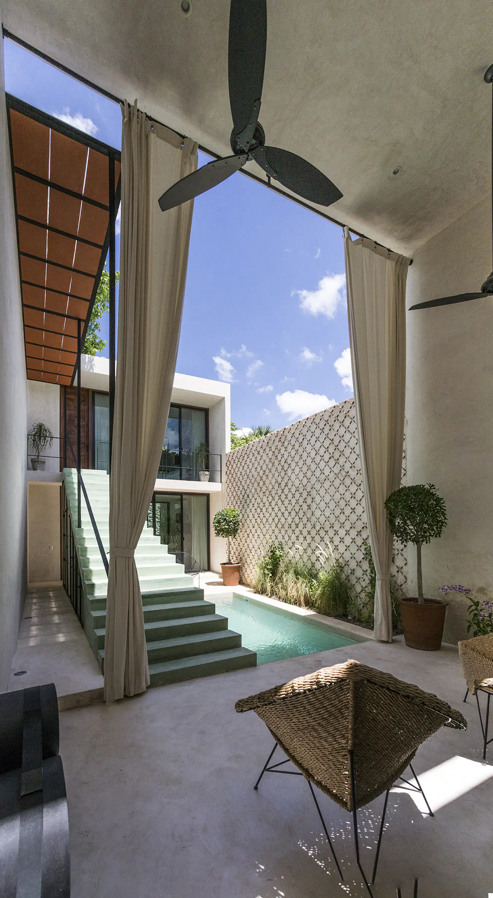 Lemon Tree House (19 Photos) - Dwell