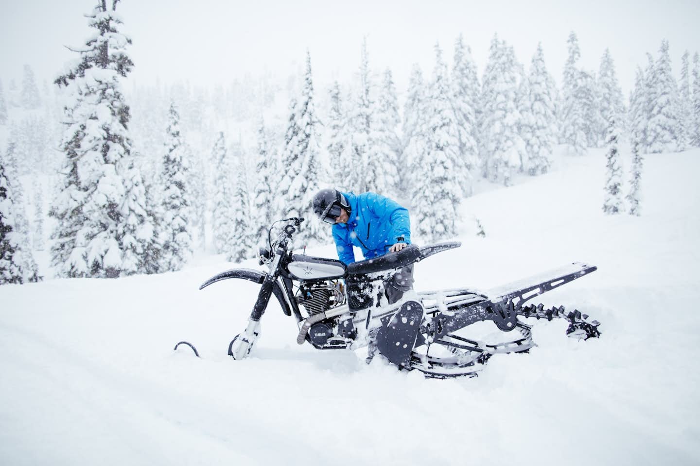 Northern Lights Optic × Alex Strohl - Dwell