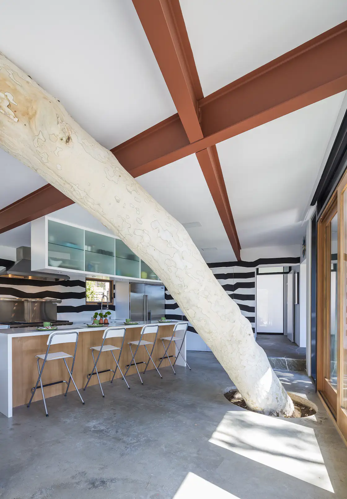 Sycamore House (14 Photos) - Dwell