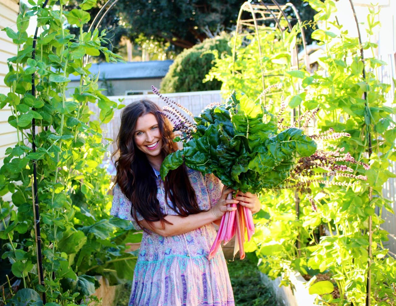 The Beginner’s Guide to Starting Vegetable Seeds Indoors - Dwell