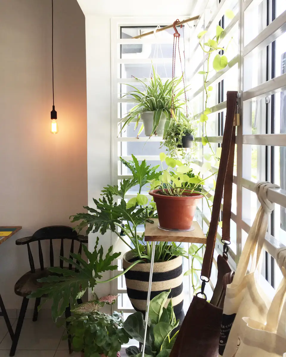 Lush Life (19 Photos) - Dwell
