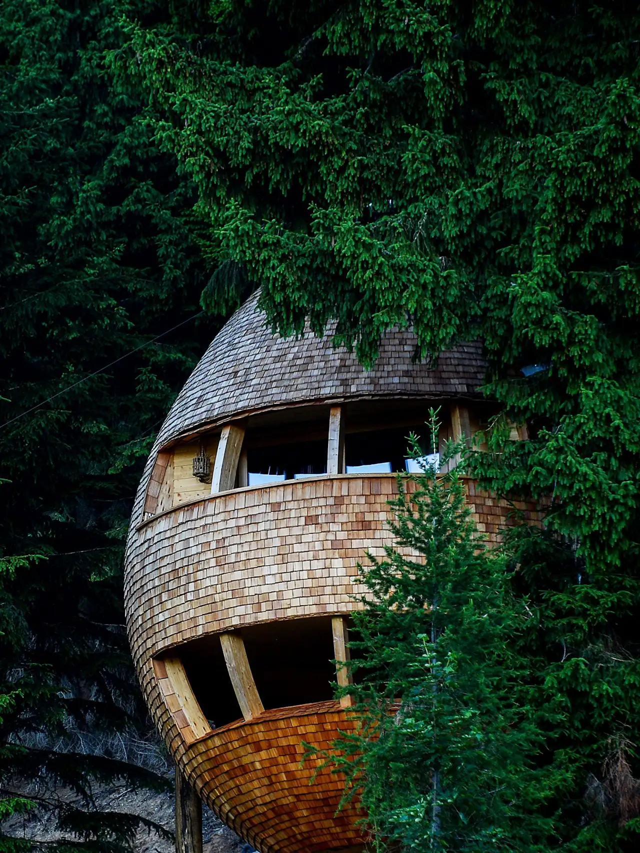 16 Unbelievable Tree Houses We're Pining Over - Dwell