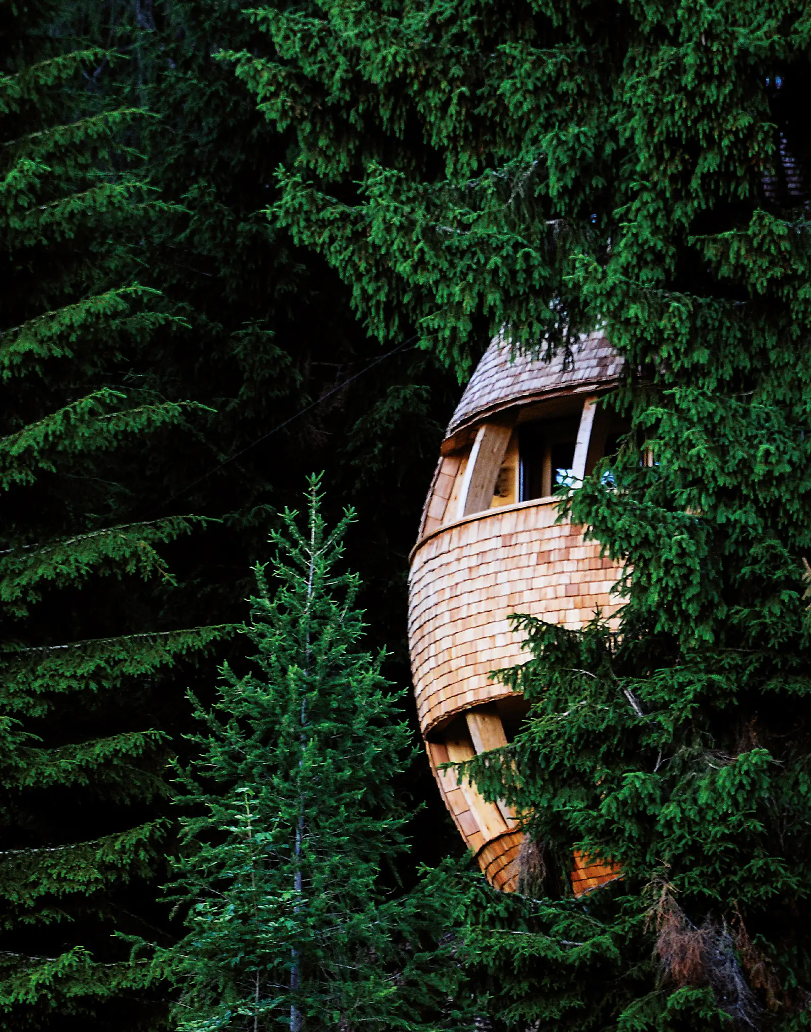 8 Bodacious Homes With Curves for Days - Dwell