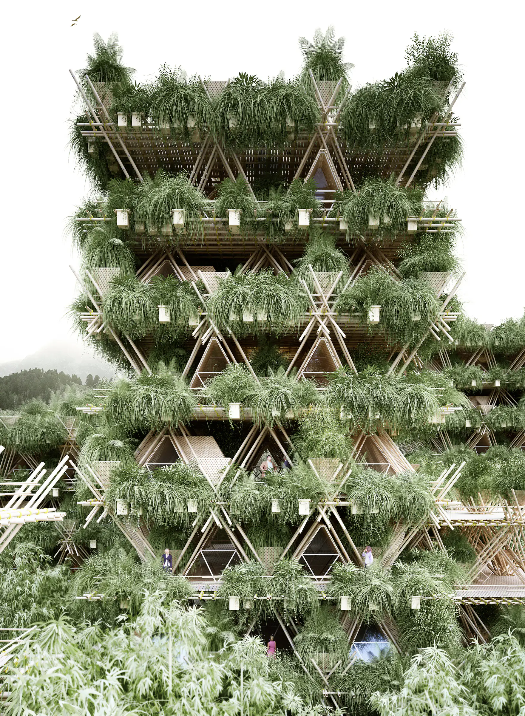 These Designs Take Bamboo Infrastructure to a New Level - Dwell