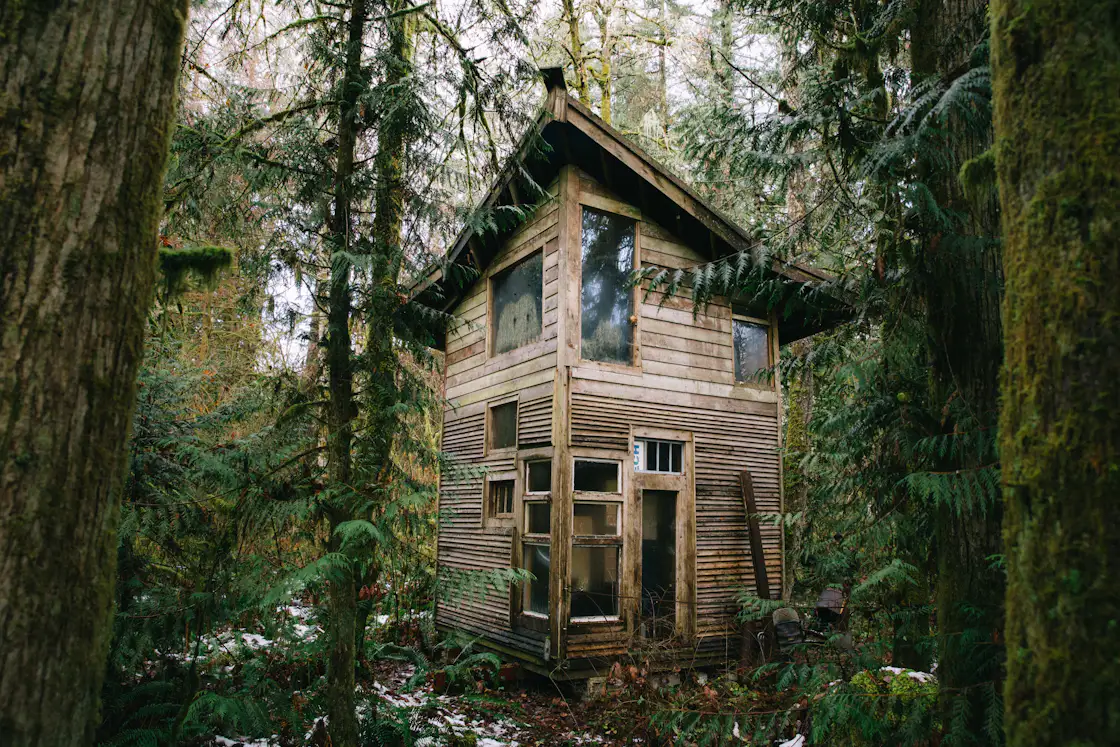 Jacob Witzling’s Off-Grid Cabins Are Straight Out of a Fairy Tale - Dwell