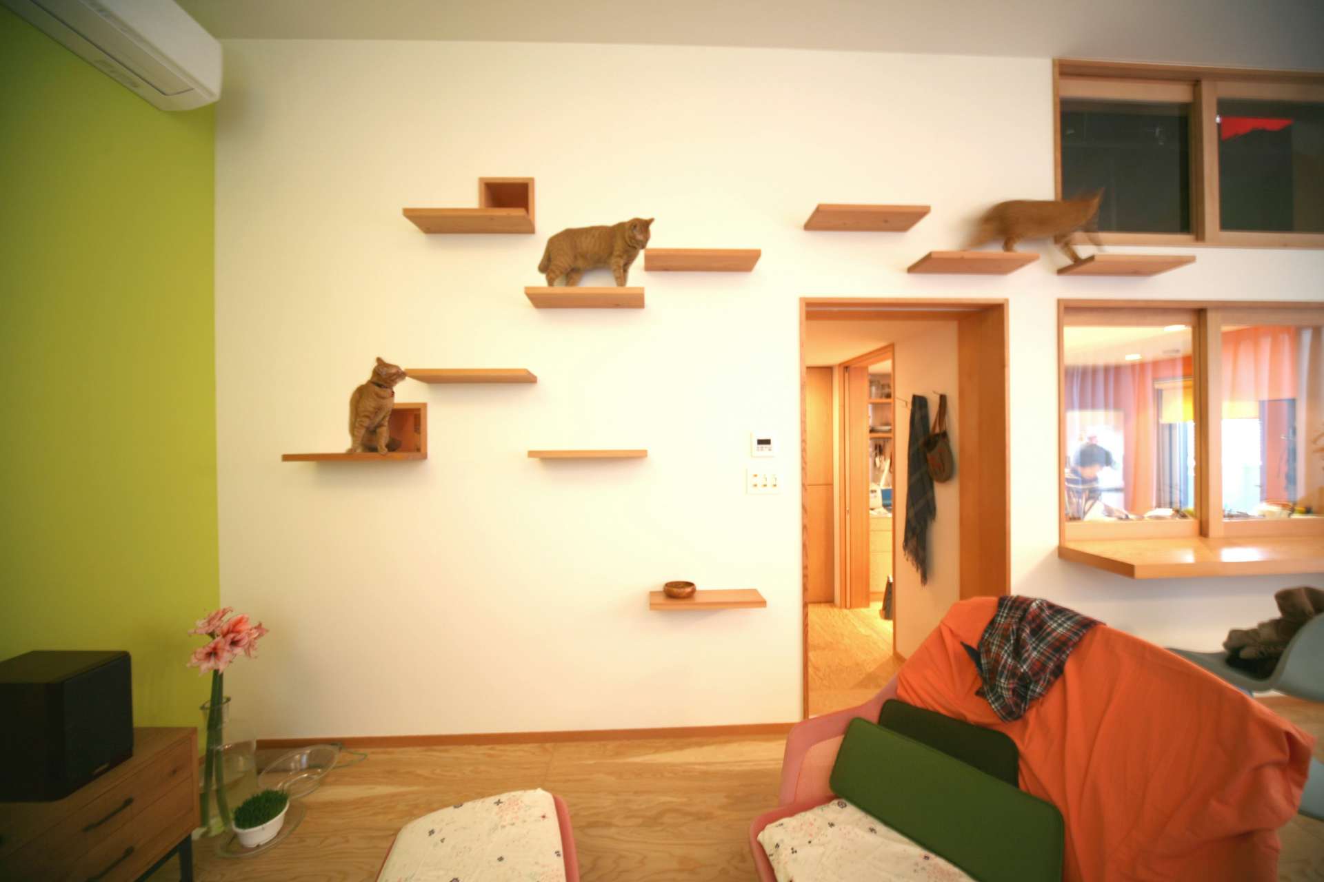 Photo 4 of 7 in Cat Architecture: 6 Homes Designed With Felines in Mind ...