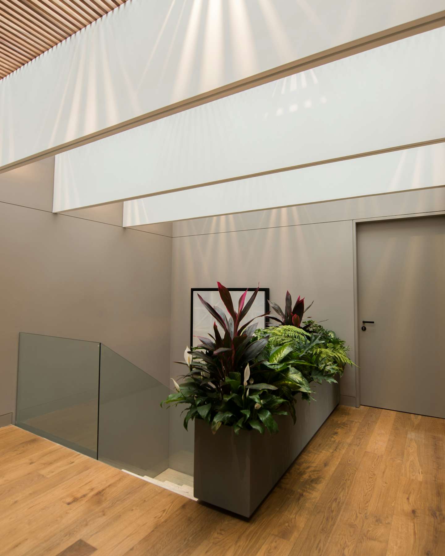 Ramos House (11 Photos) - Dwell