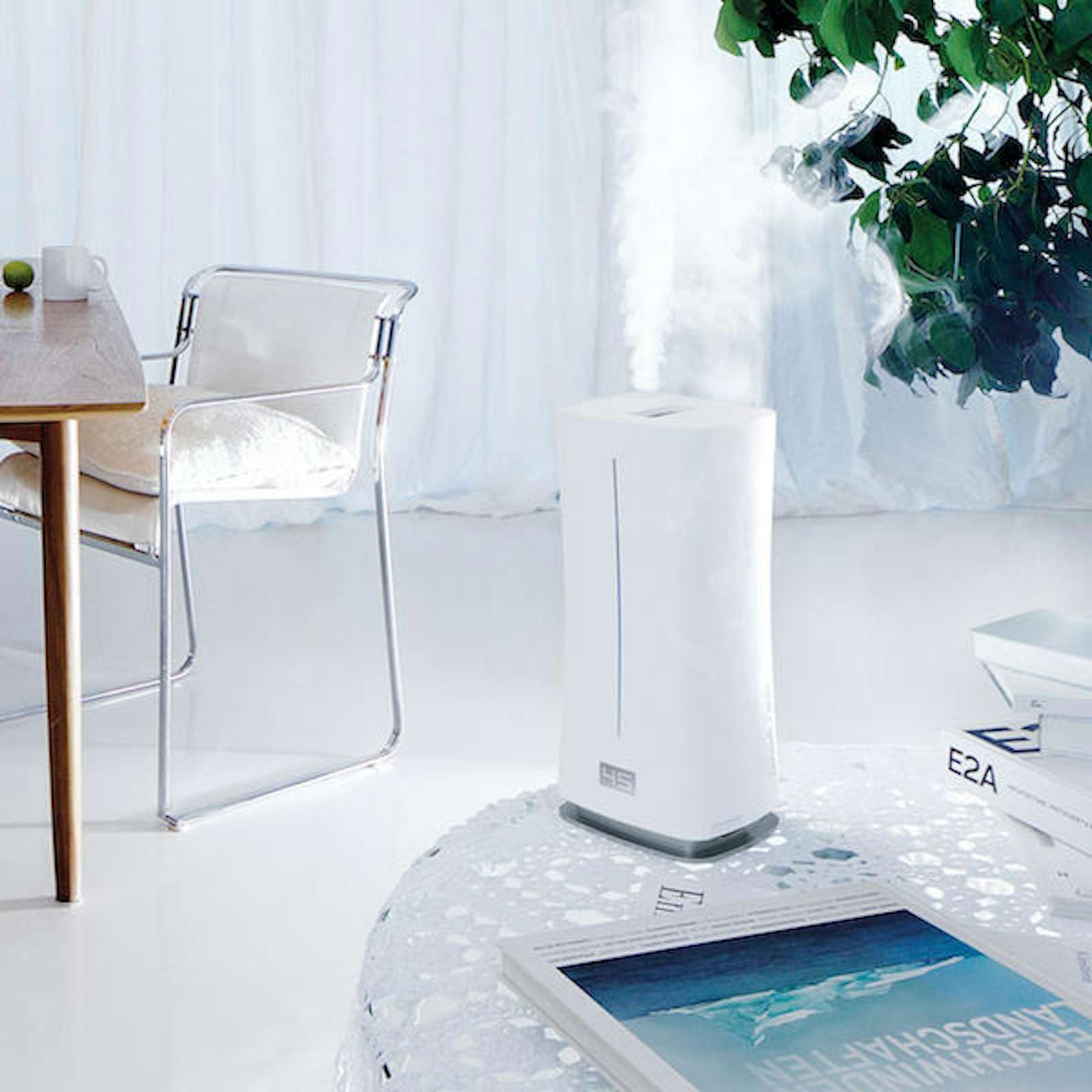 Michele Koh Morollo on Dwell