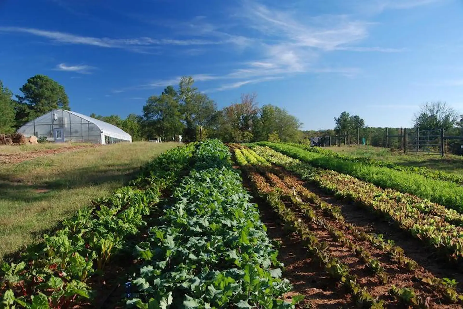 An Eco-Friendly Community Outside of Atlanta Celebrates Nature and ...