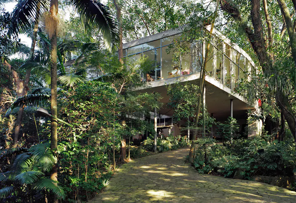 20 Nature-Loving Homes Where Biophilia Thrives - Dwell