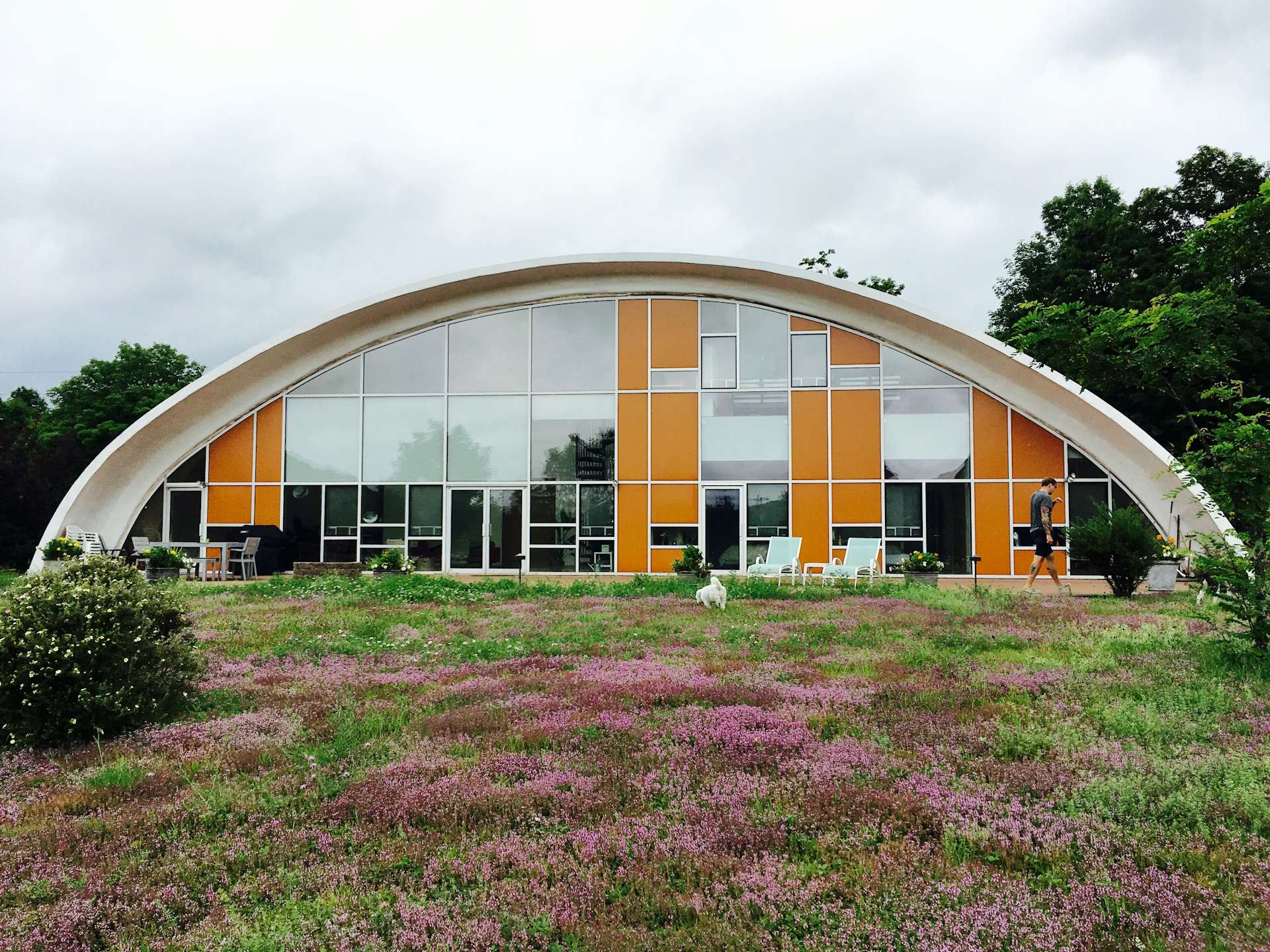 Shell House Renovation by Daam - Dwell