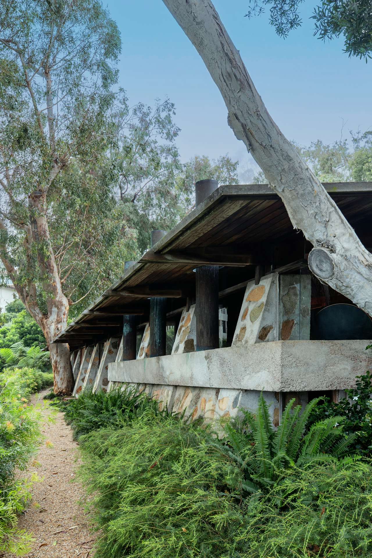 Photo 3 of 19 in This Midcentury Home Was Designed by a Lloyd Wright ...