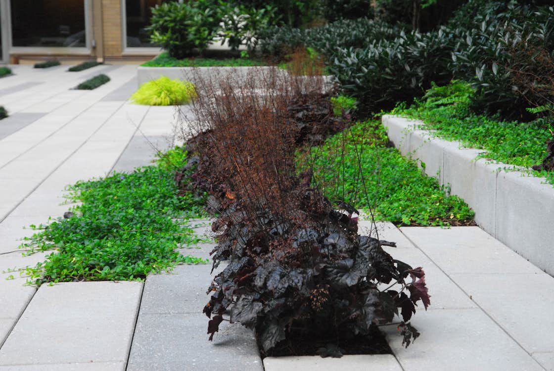 Modern Linear Courtyard posted by Greenblott Design (6 Photos) - Dwell