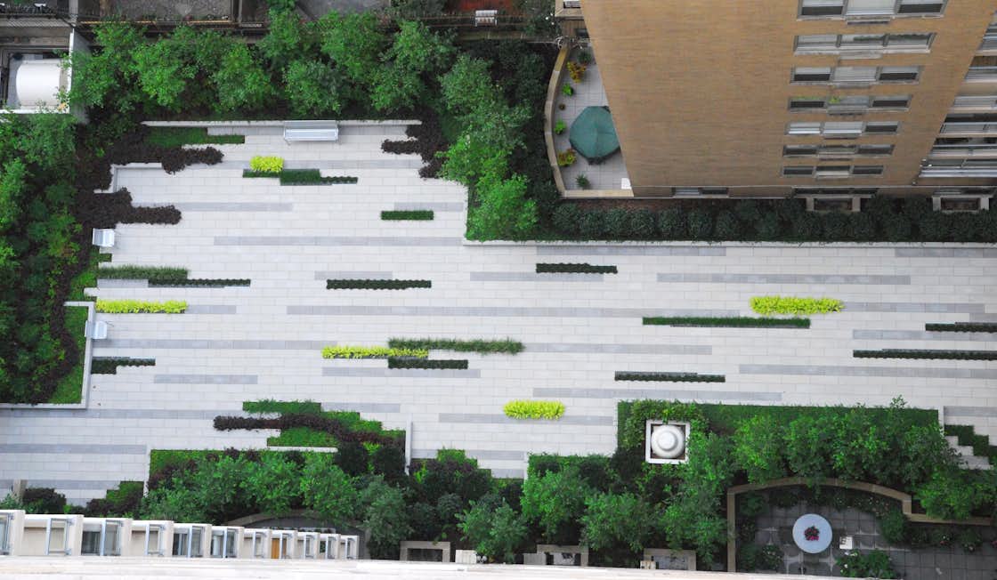 Modern Linear Courtyard posted by Greenblott Design (6 Photos) - Dwell