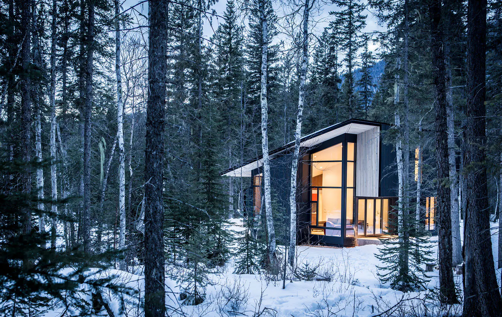Photo 6 of 12 in 12 Stunning Glass Cabins You Can Rent Right Now for a ...