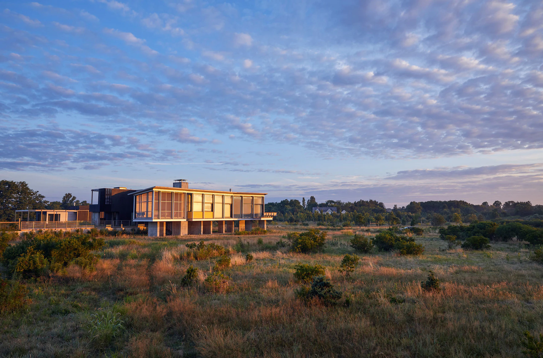 Wetlands House by Ryall Sheridan Architects - Dwell
