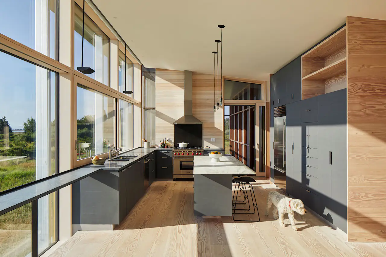 Wetlands House by Ryall Sheridan Architects - Dwell