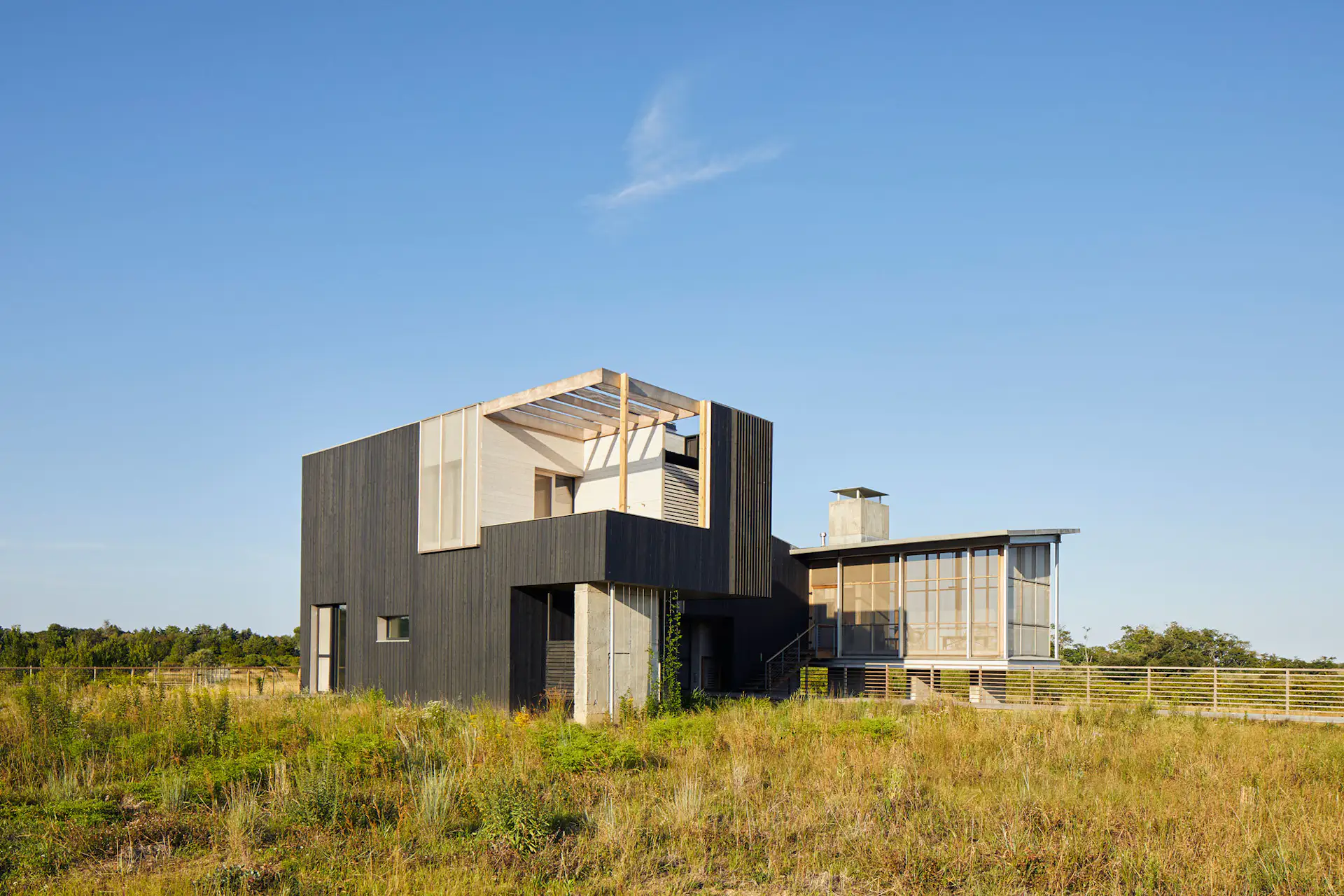 Wetlands House by Ryall Sheridan Architects - Dwell