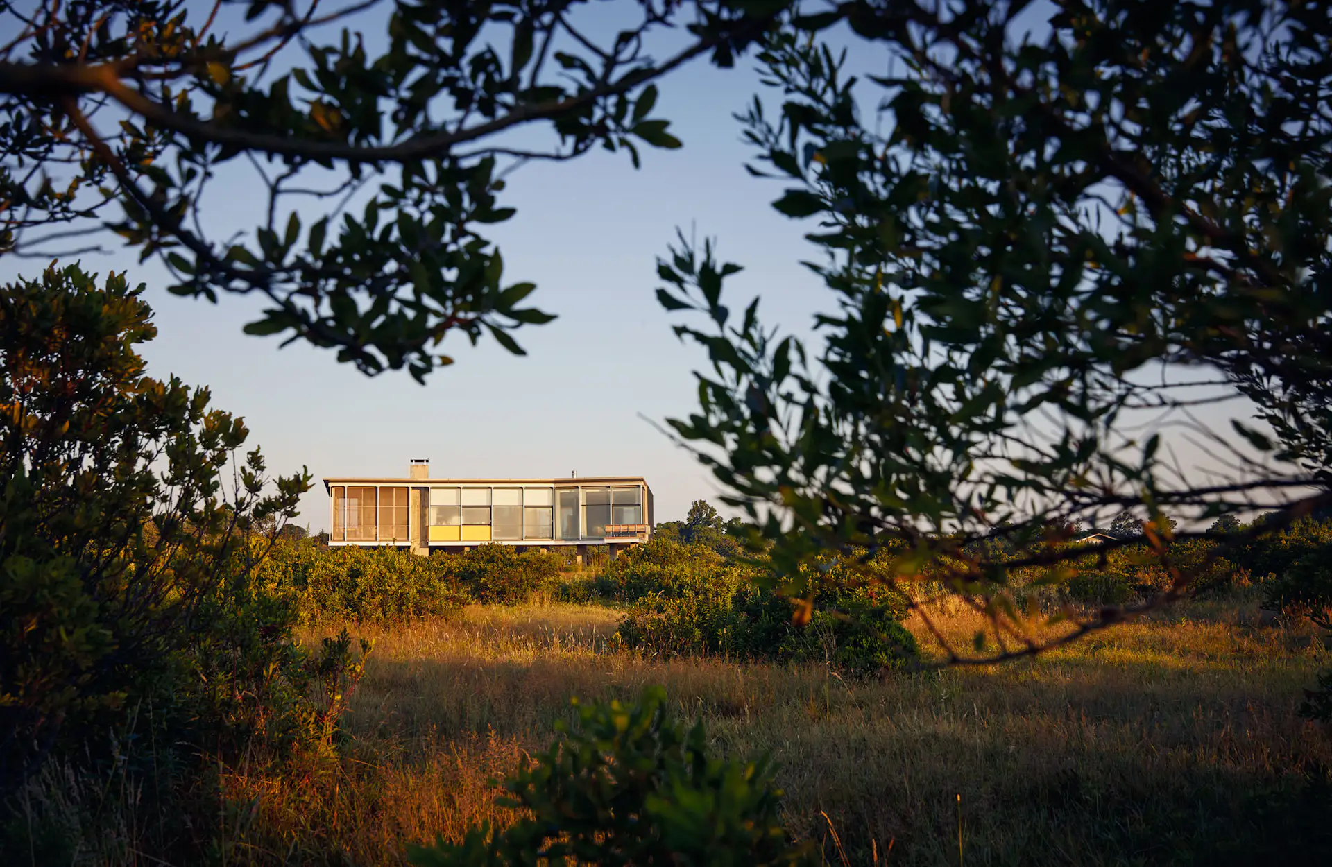 Wetlands House by Ryall Sheridan Architects - Dwell
