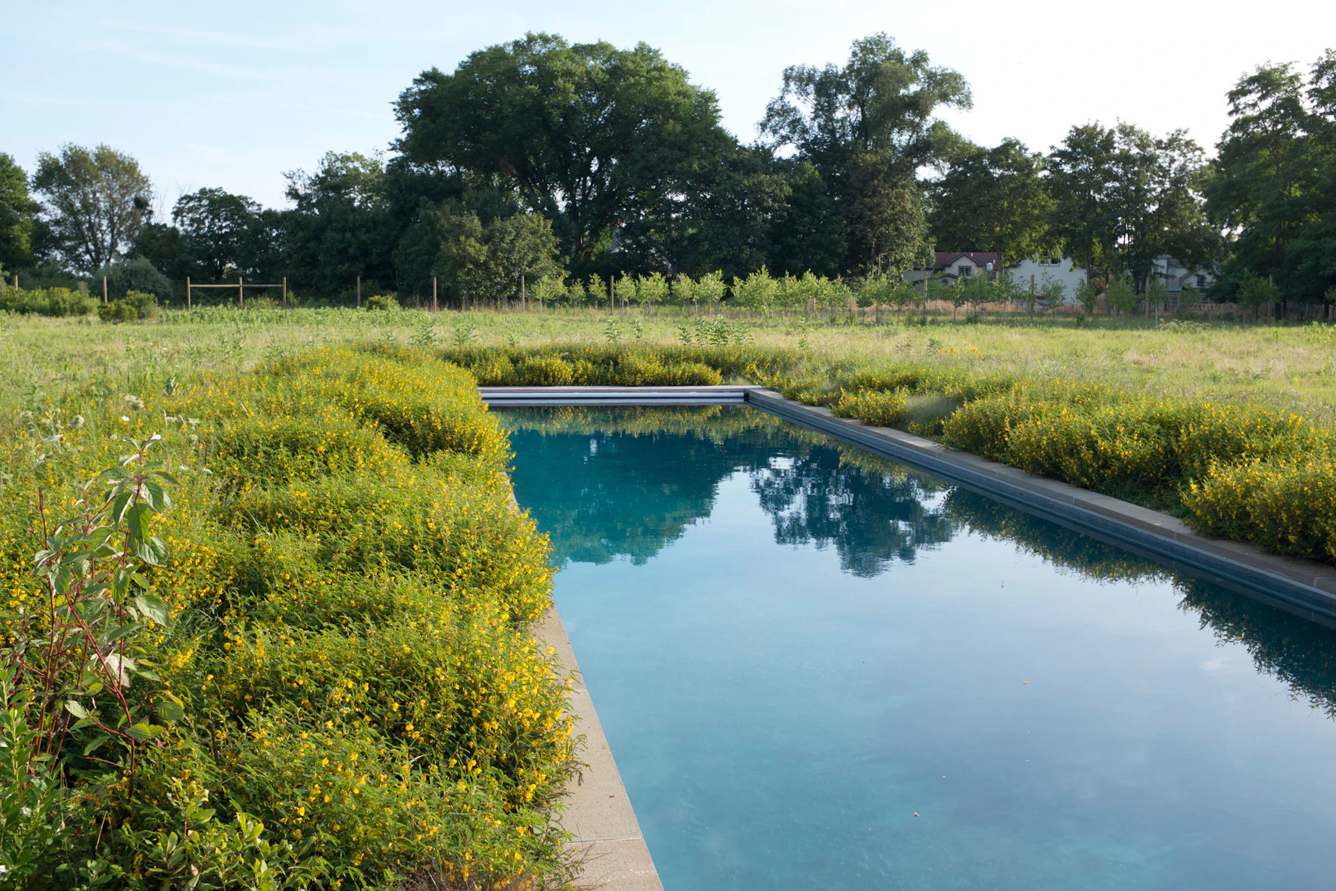 Wetlands House by Ryall Sheridan Architects - Dwell