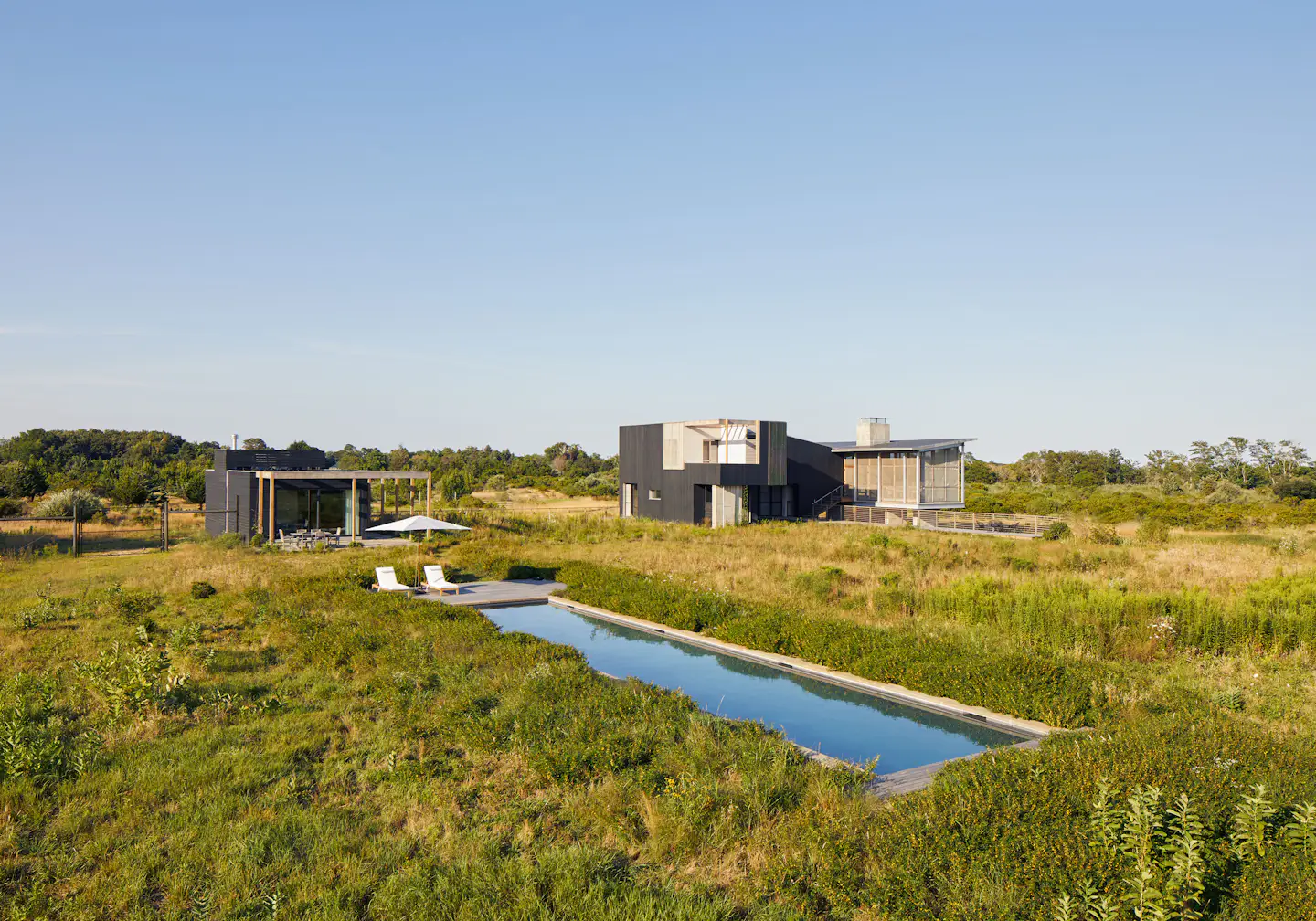 Wetlands House by Ryall Sheridan Architects - Dwell
