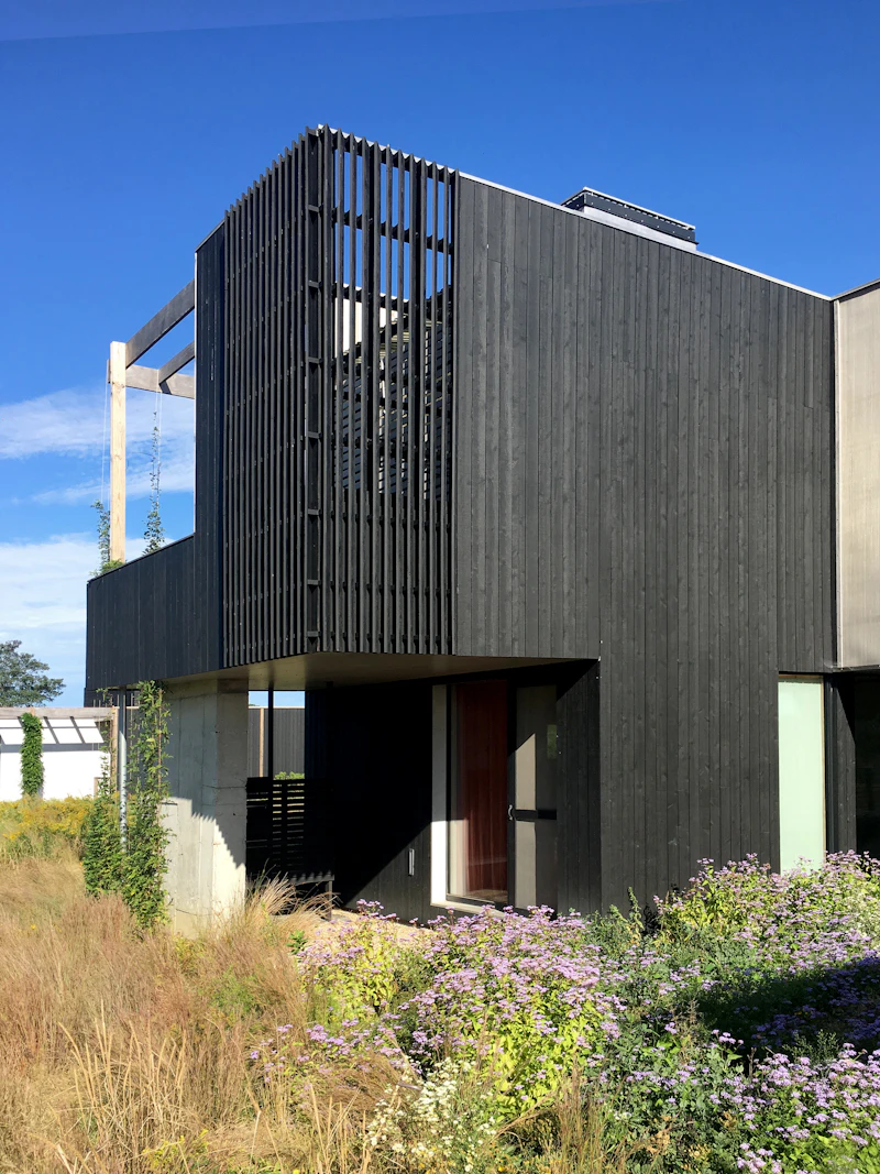 Wetlands House by Ryall Sheridan Architects - Dwell