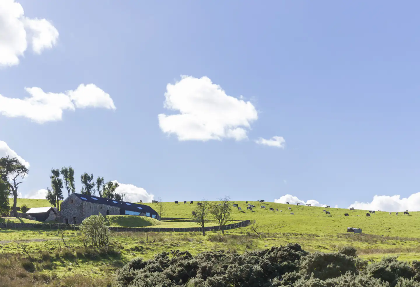 This Renovated Scottish Farmhouse With Sinuous Interior Walls Is a Jaw ...