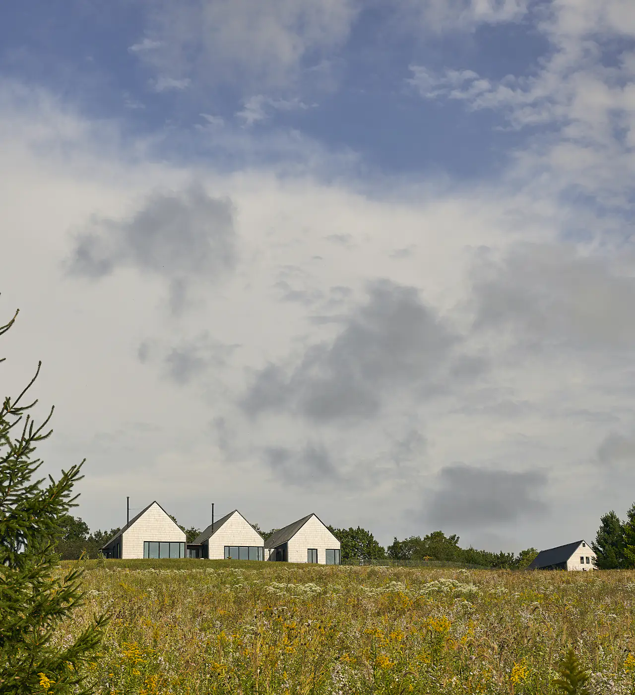 Photo 11 of 11 in A Minimalist, Scandinavian-Style Home Rises on a ...