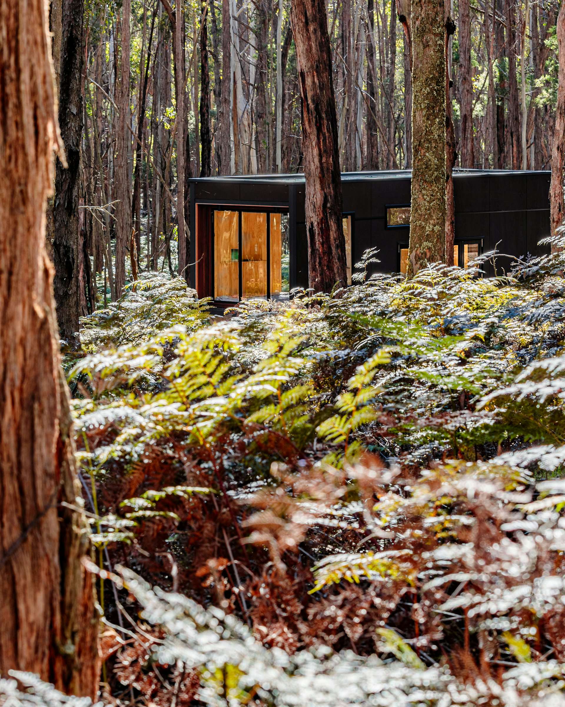 Photo 1 of 10 in Go Off-Grid in This Tiny Australian Cabin Made for ...