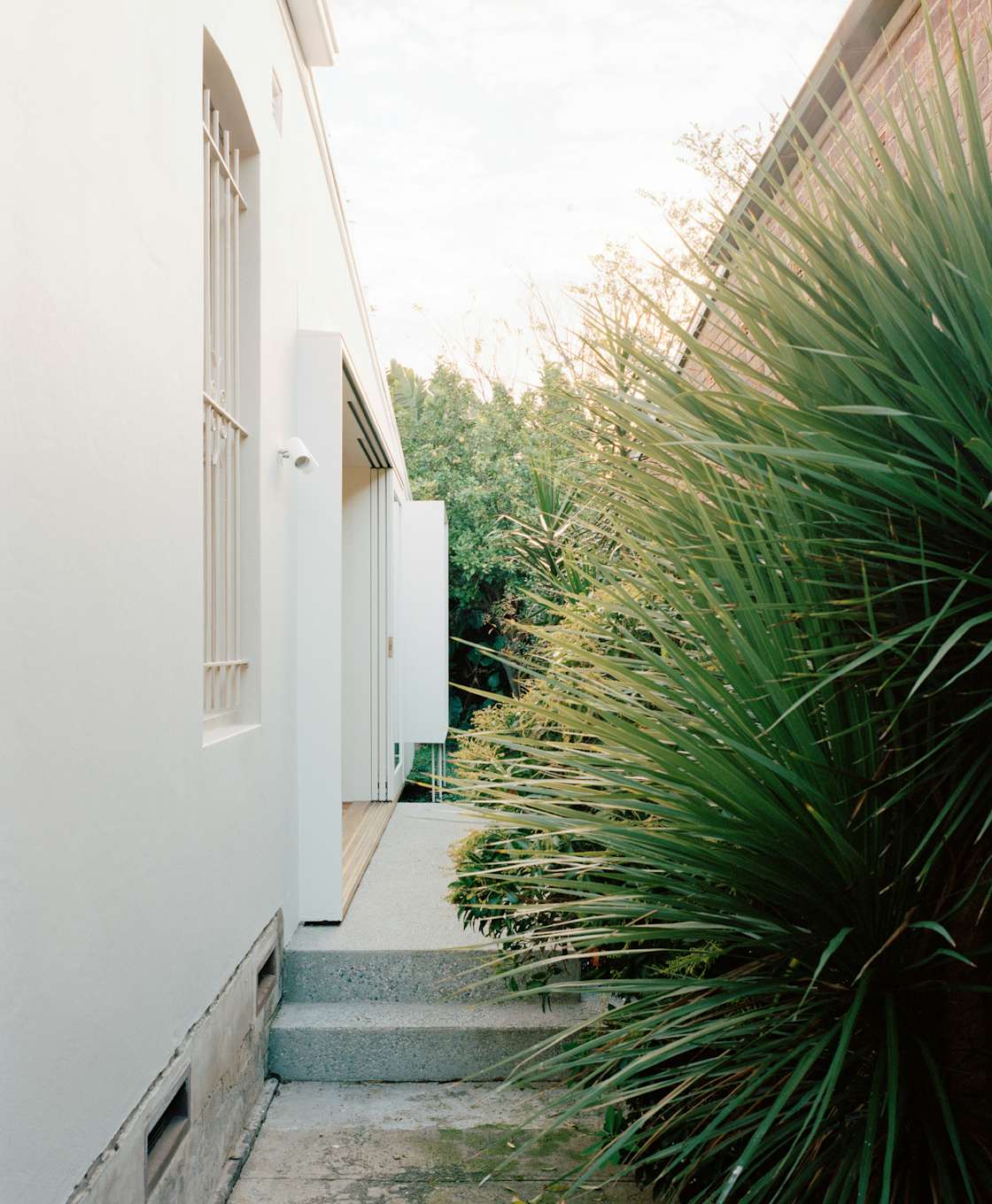 Photo 12 of 15 in A Sydney Architect Deftly Revamps a 1920s Cottage to ...