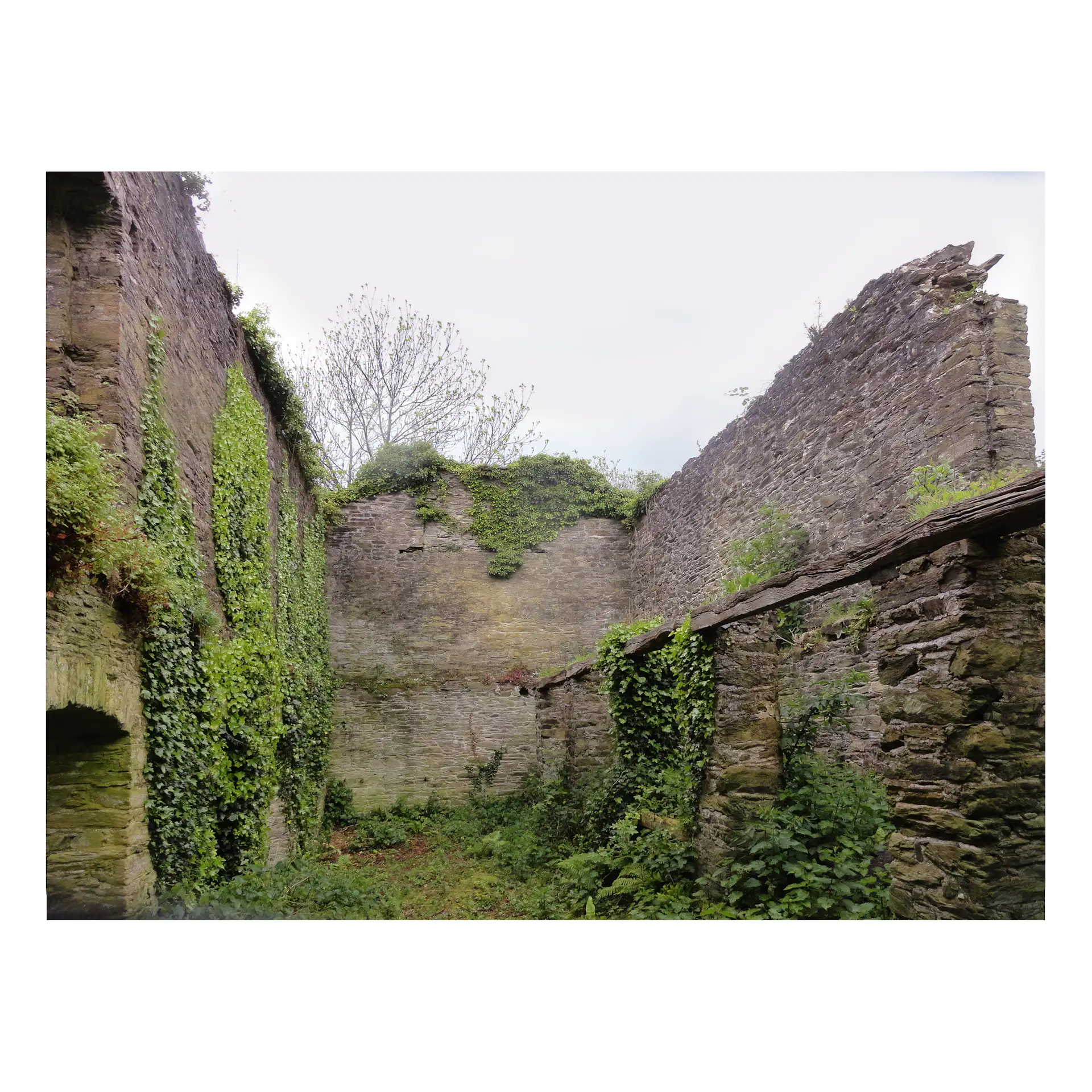 Photo 7 of 25 in Before & After: A Country Home Blossoms in the Ruins ...