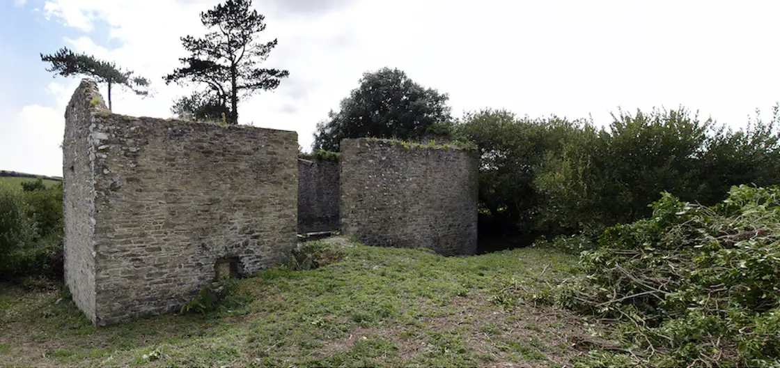 Photo 21 of 25 in Before & After: A Country Home Blossoms in the Ruins ...