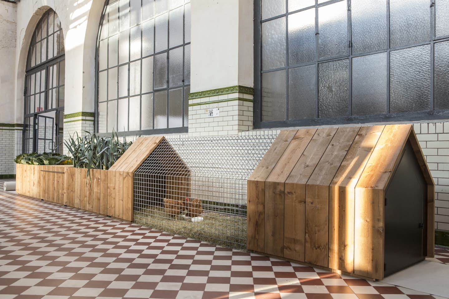 Photo 23 of 29 in 10 Modern Chicken Coops That Rule the Roost - Dwell