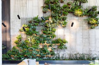 Check Out This Brooklyn Hotel's Dramatic Living Wall Installation - Dwell