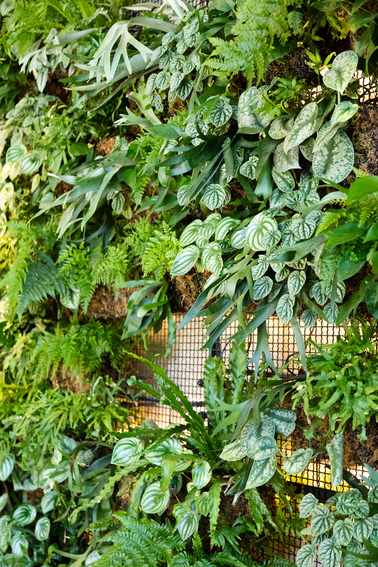 Photo 7 of 7 in Check Out This Brooklyn Hotel's Dramatic Living Wall ...