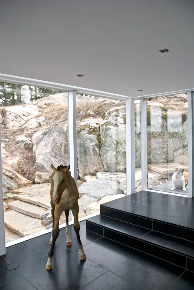 This Mesmerizing Glass House Is Also a Photographer's Lakeside Studio ...