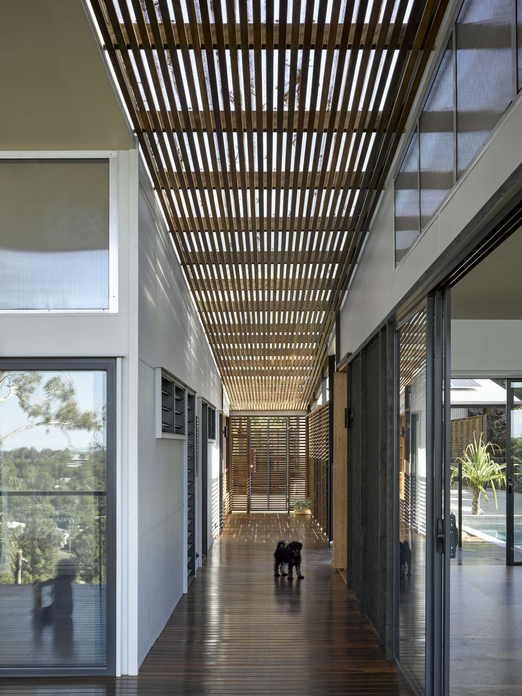 Photo 8 of 12 in This Australian “Tree House” Embraces the Spirit of ...