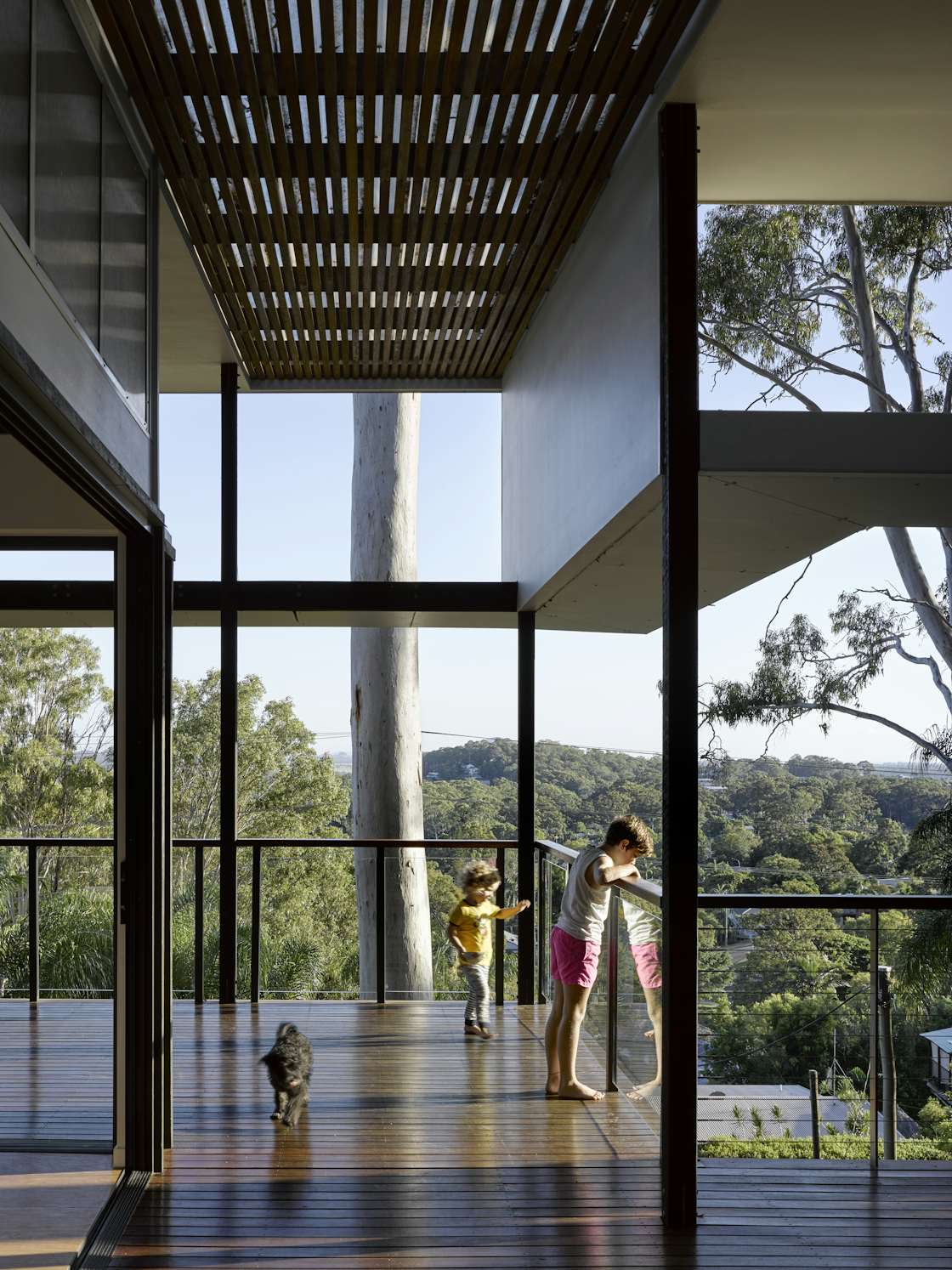 Photo 6 of 12 in This Australian “Tree House” Embraces the Spirit of ...