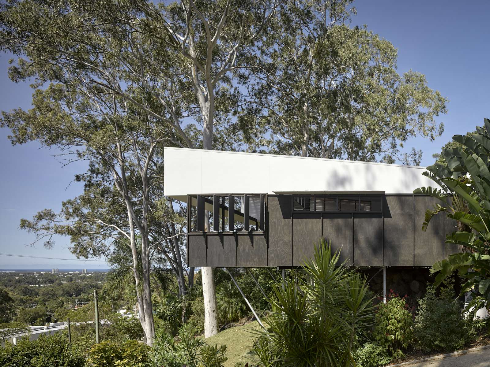 Photo 1 of 12 in This Australian “Tree House” Embraces the Spirit of ...