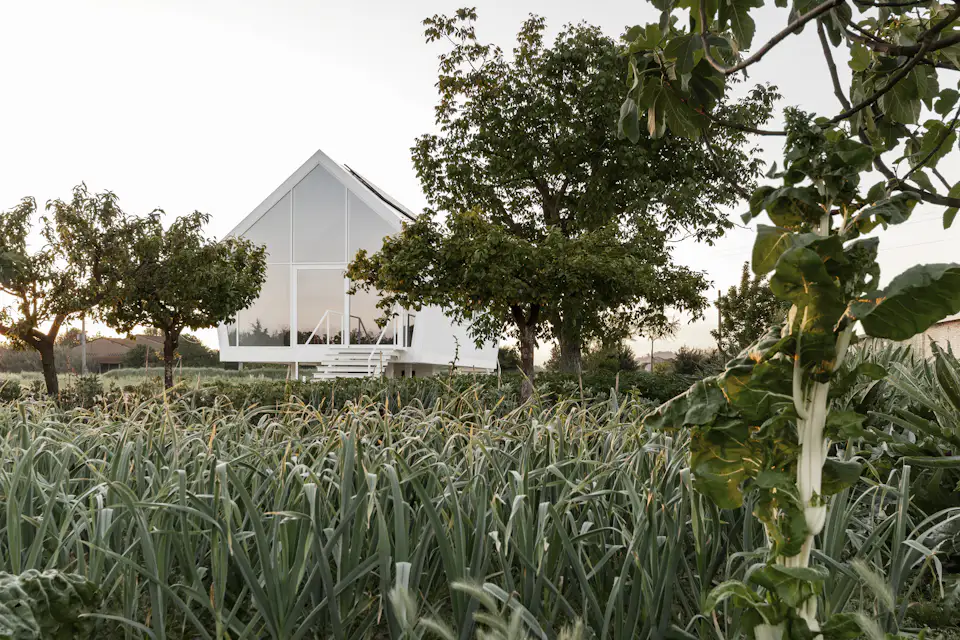 Lush, Plant-Filled Dwellings That Pay Homage to Home Horticulture - Dwell
