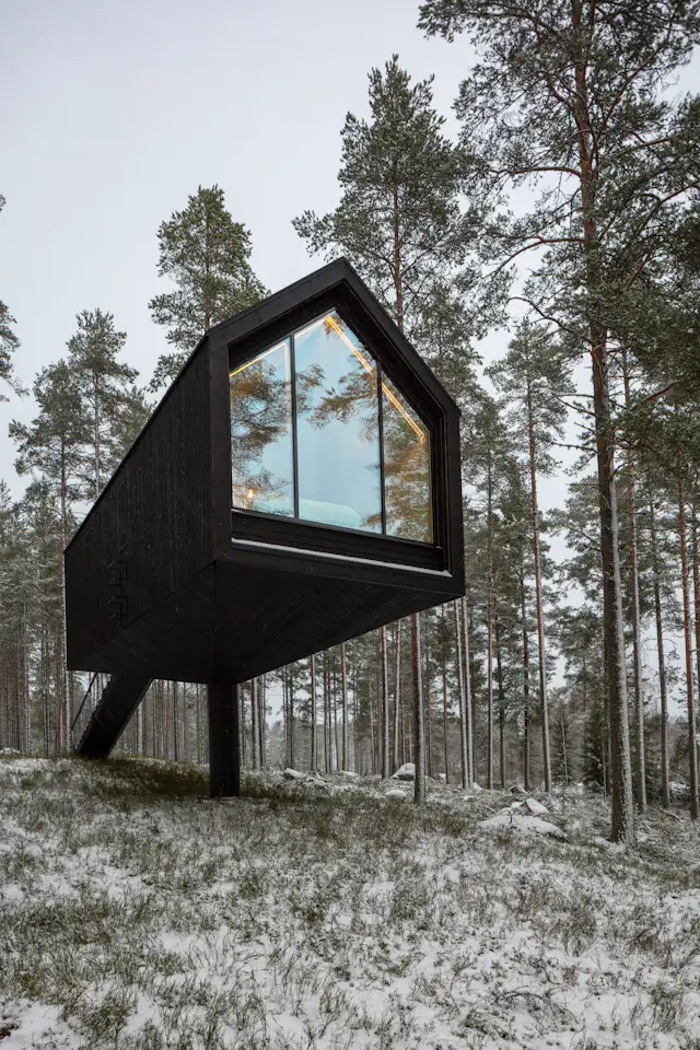 Photo 8 of 15 in 15 Black Cabins That Make the Case for Dark Exteriors ...
