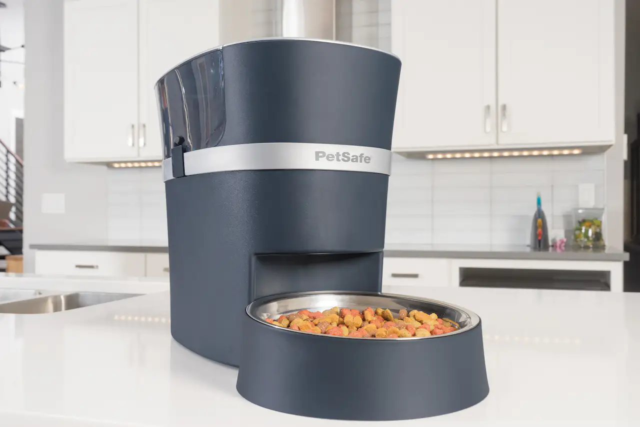 Best Smart Devices For Pet Care - Dwell
