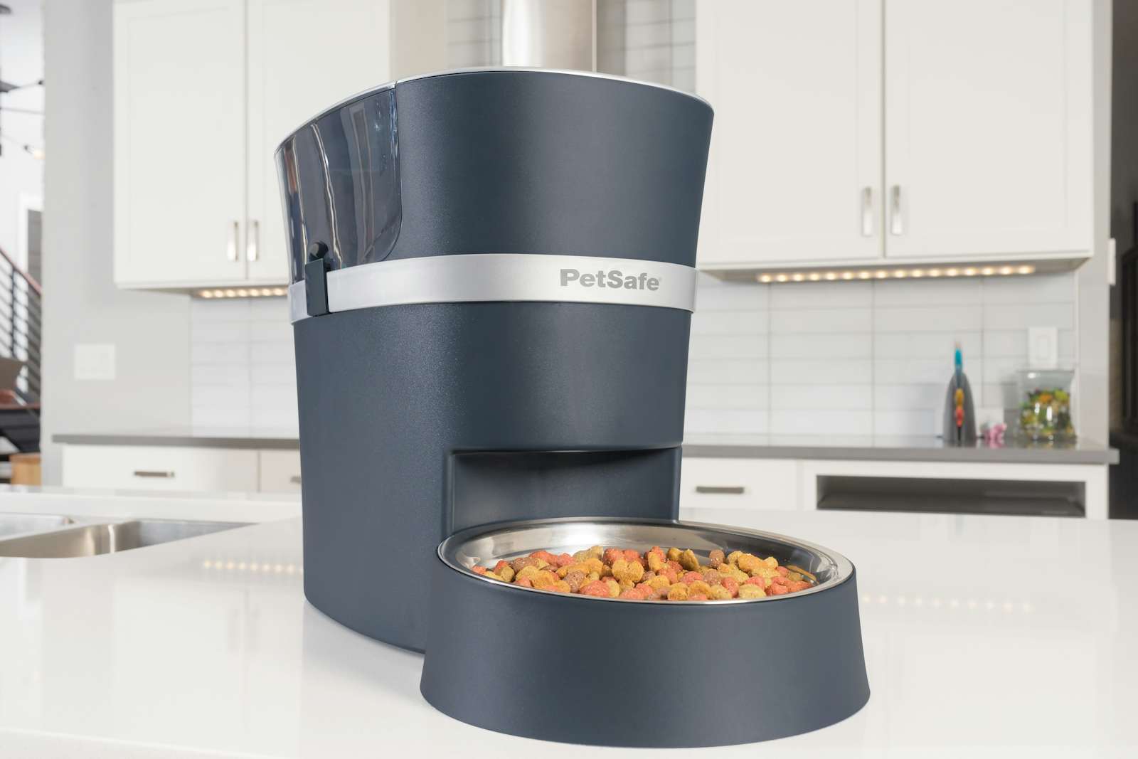 Best Smart Devices For Pet Care - Dwell