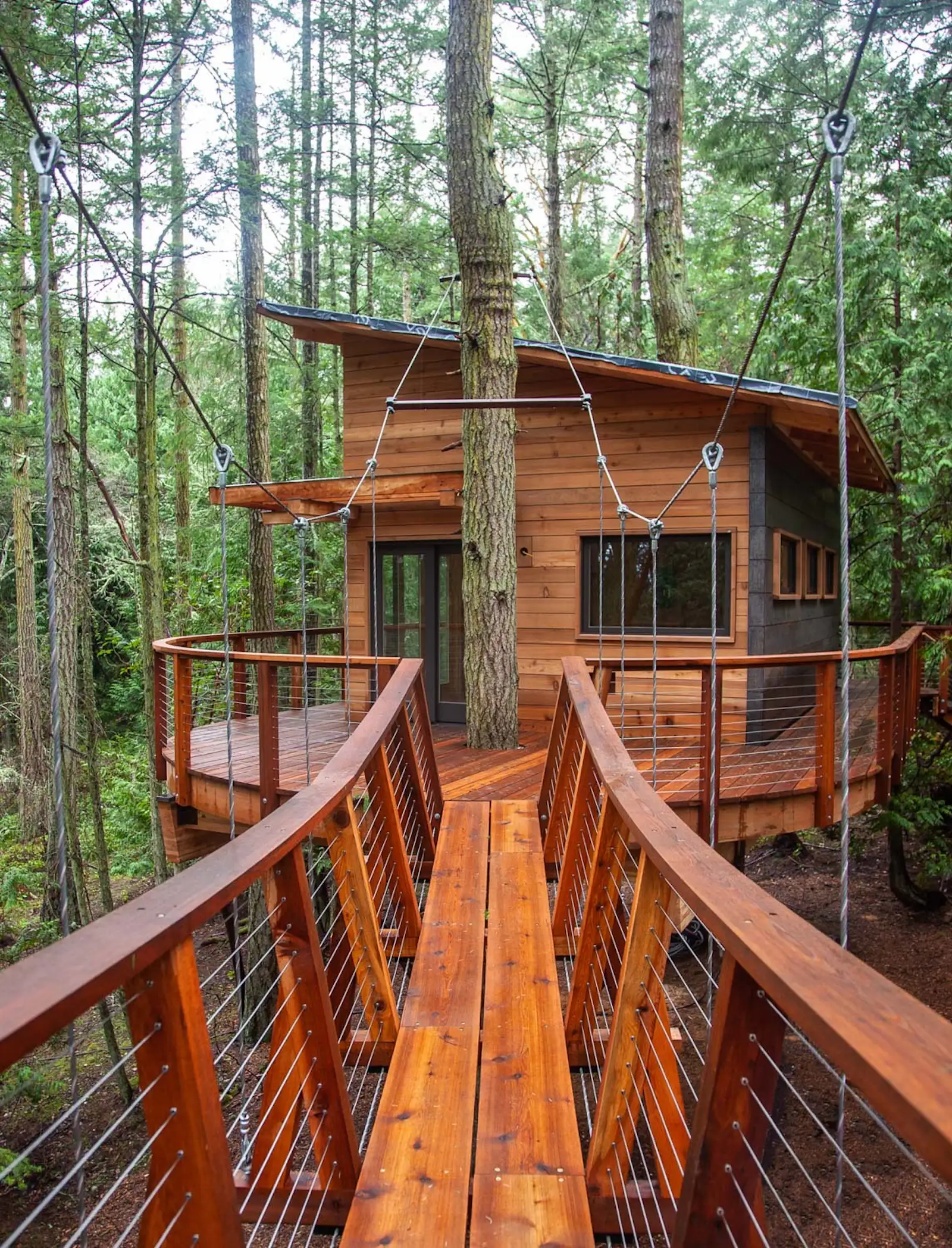 Photo 3 of 11 in How Tree House Master Pete Nelson Built an Empire in ...