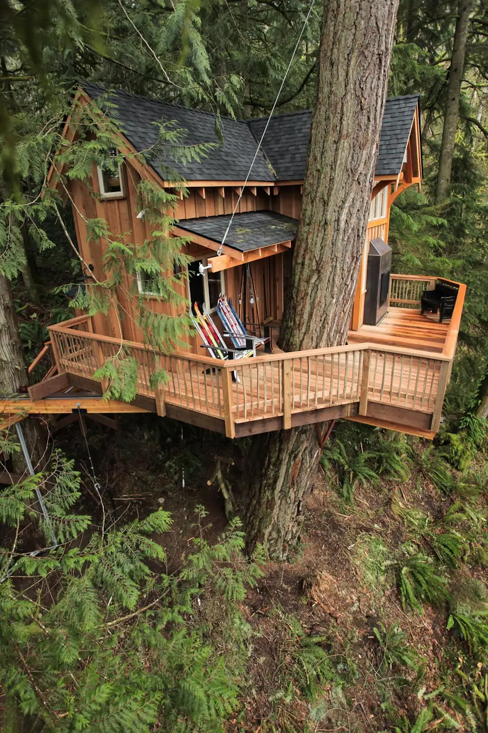 How Tree House Master Pete Nelson Built an Empire in the Woods - Dwell
